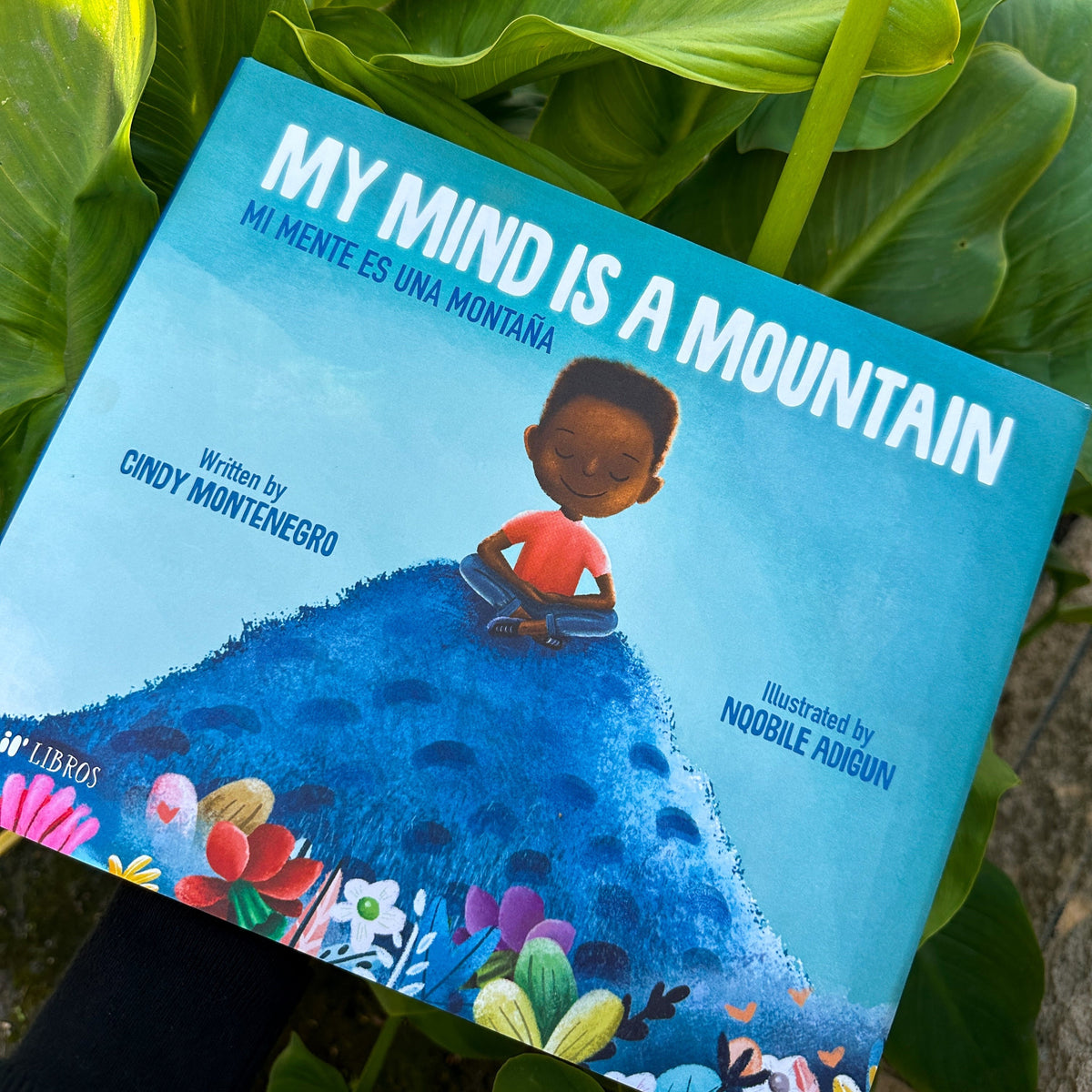 My Mind is a Mountain – Lil' Libros